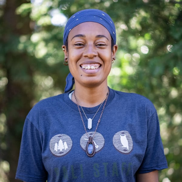 Artemis - Pali Institute