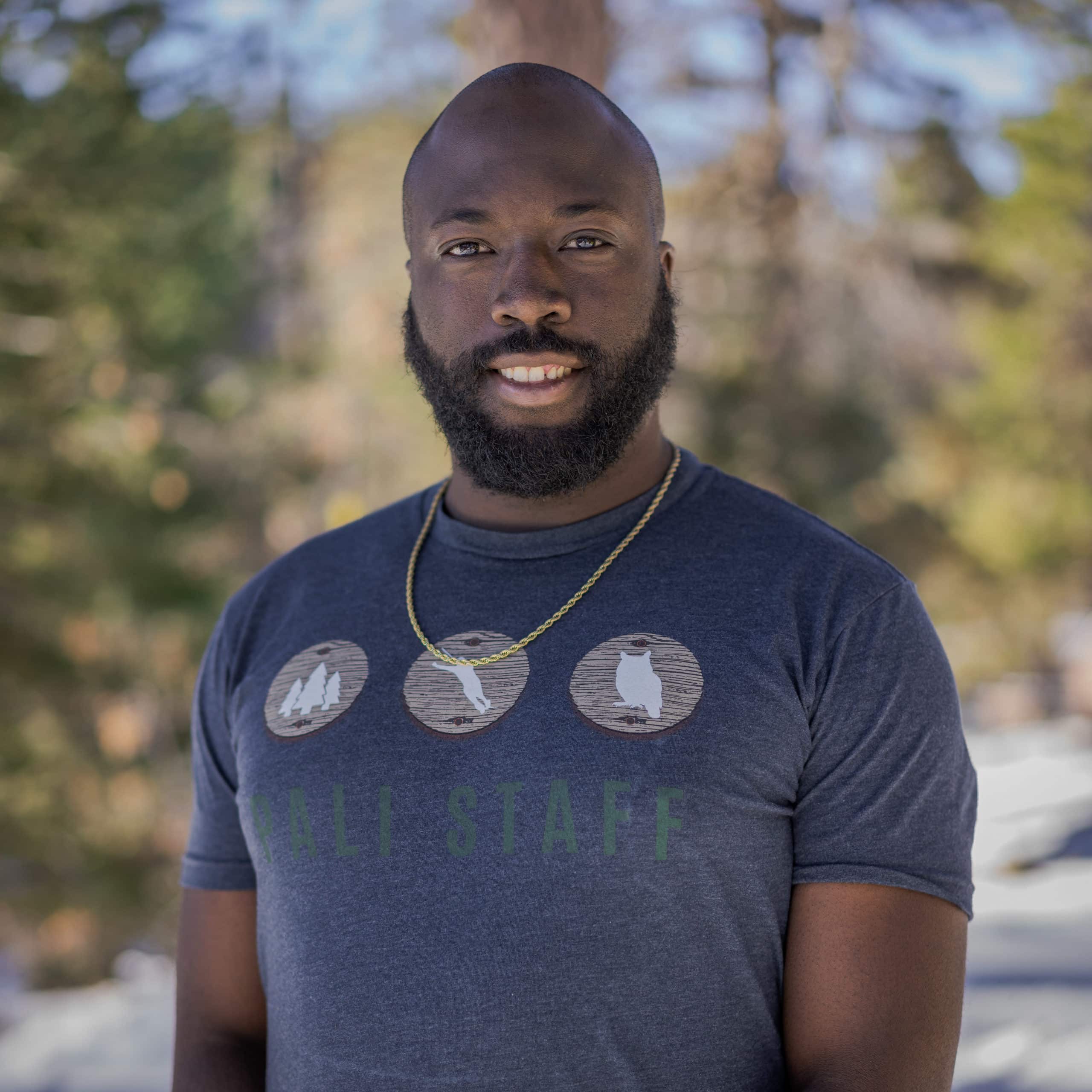 Divo - Pali Institute