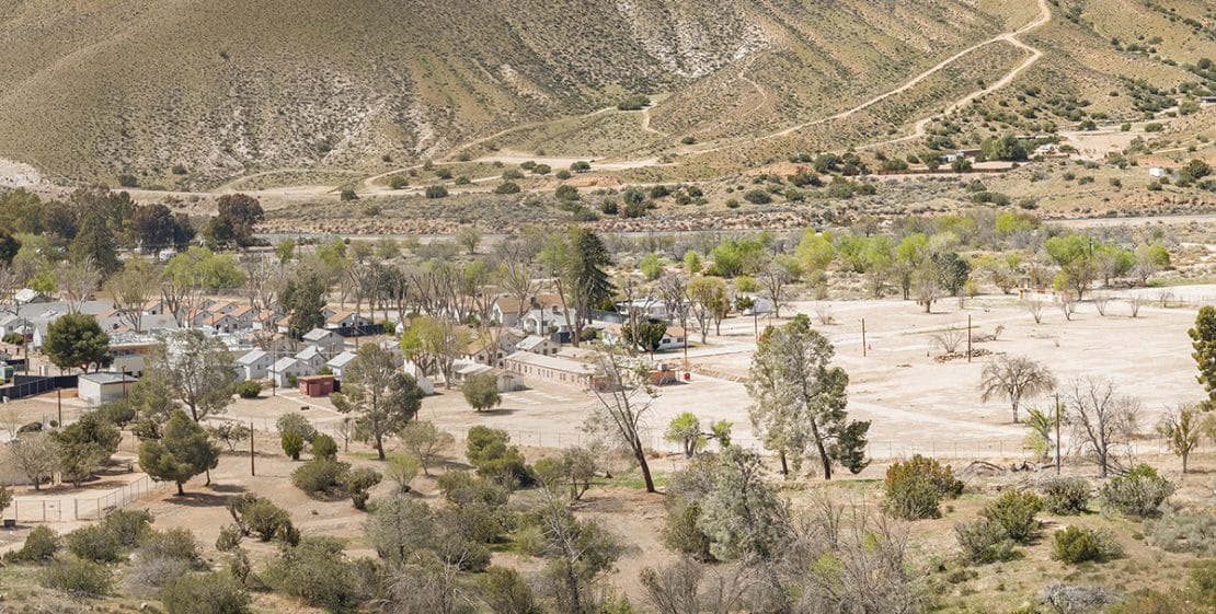 Pali Acton | Pali Institute